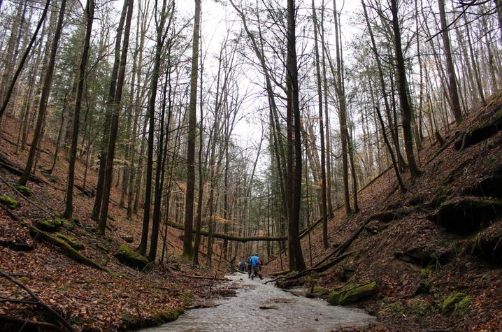 UK Researchers Awarded NSF Grant to Upgrade Stream Monitoring Network ...